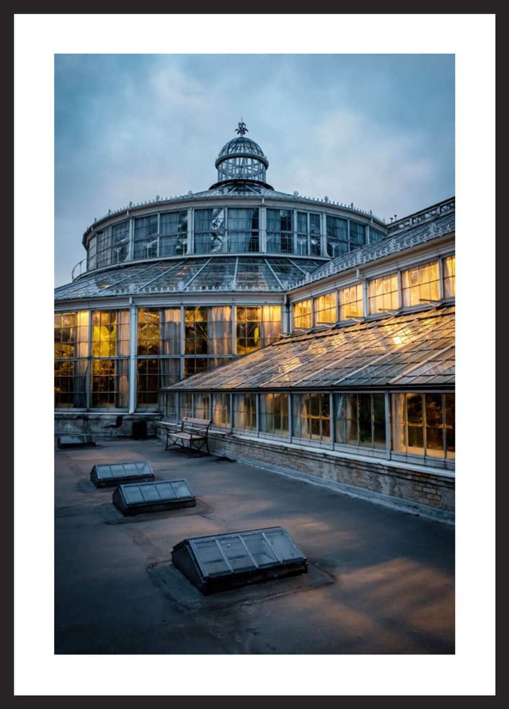 The Palm House | O A T C O P E N H A G E N